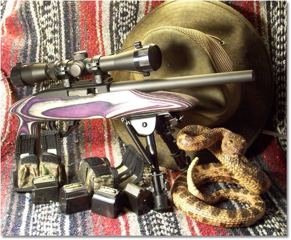 The Ruger 22 Charger – Don’t Dodge This One! - USA Carry