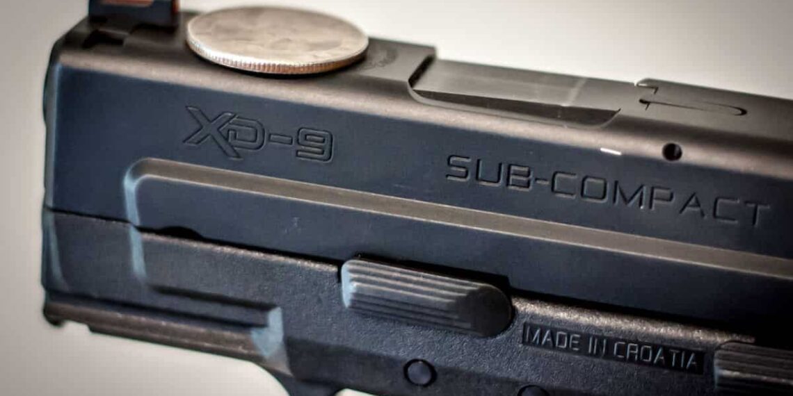 Dry Fire Practice at Home and at the Range - USA Carry