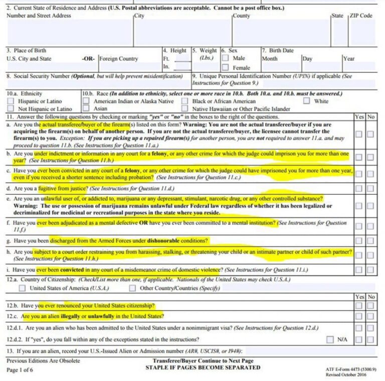 Federal & State Background Checks for Firearms: Issues and Ideas - USA ...