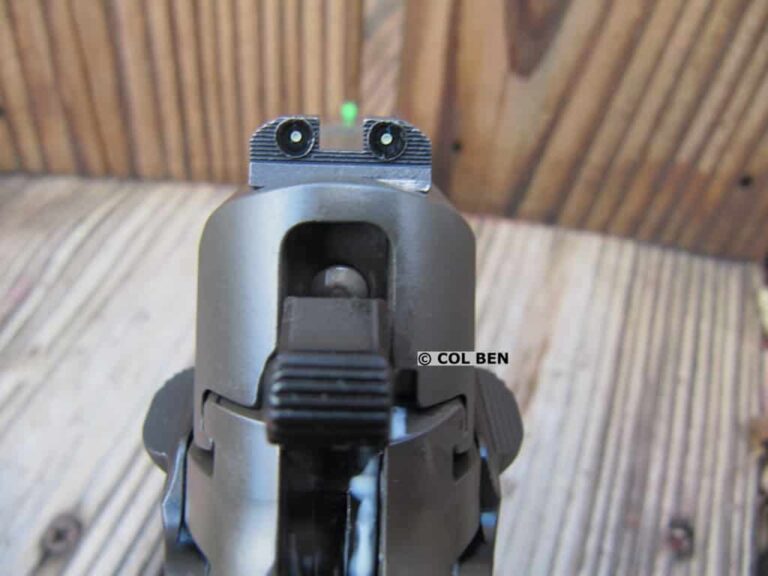 Sig Sauer P229 Legion Compact SAO Review - USA Carry