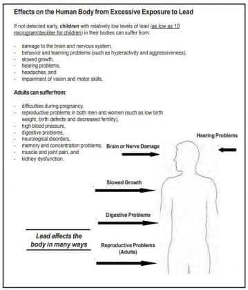 Reducing Lead Exposure from Firearms: Risks and Dangers - USA Carry