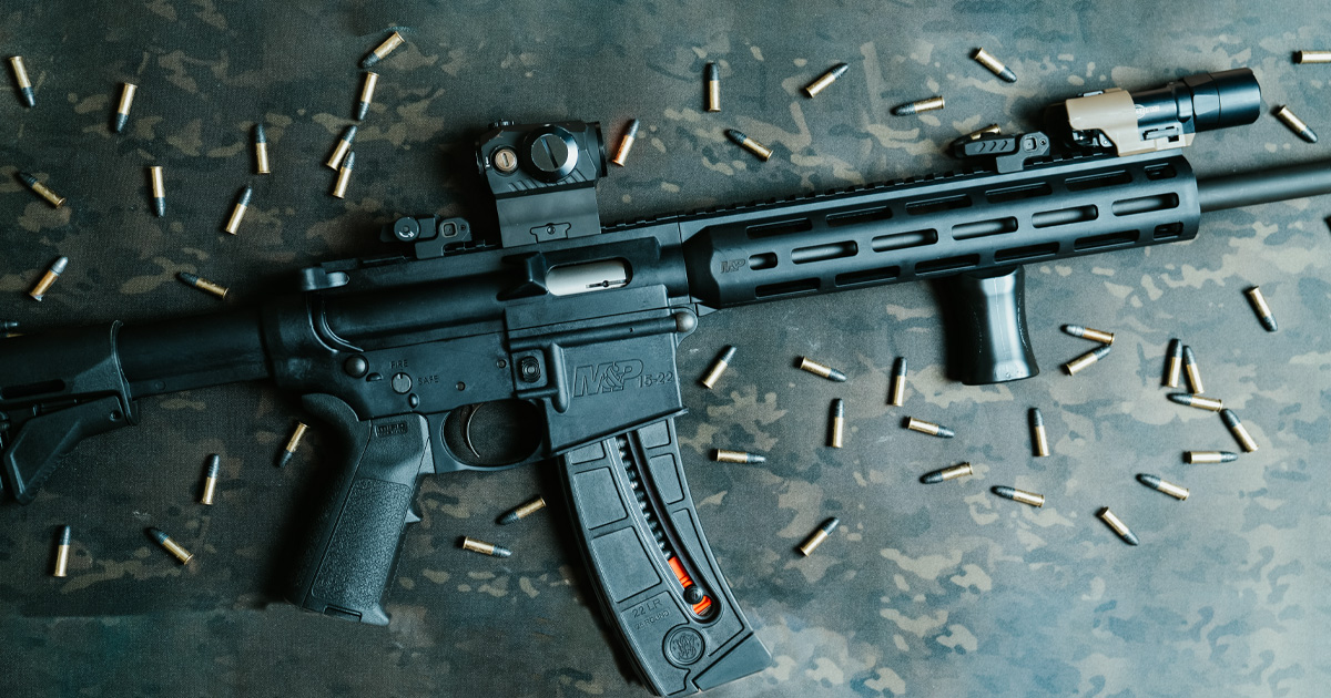 America's Other Rifle | .22 Rifles In A Defensive Role - USA Carry