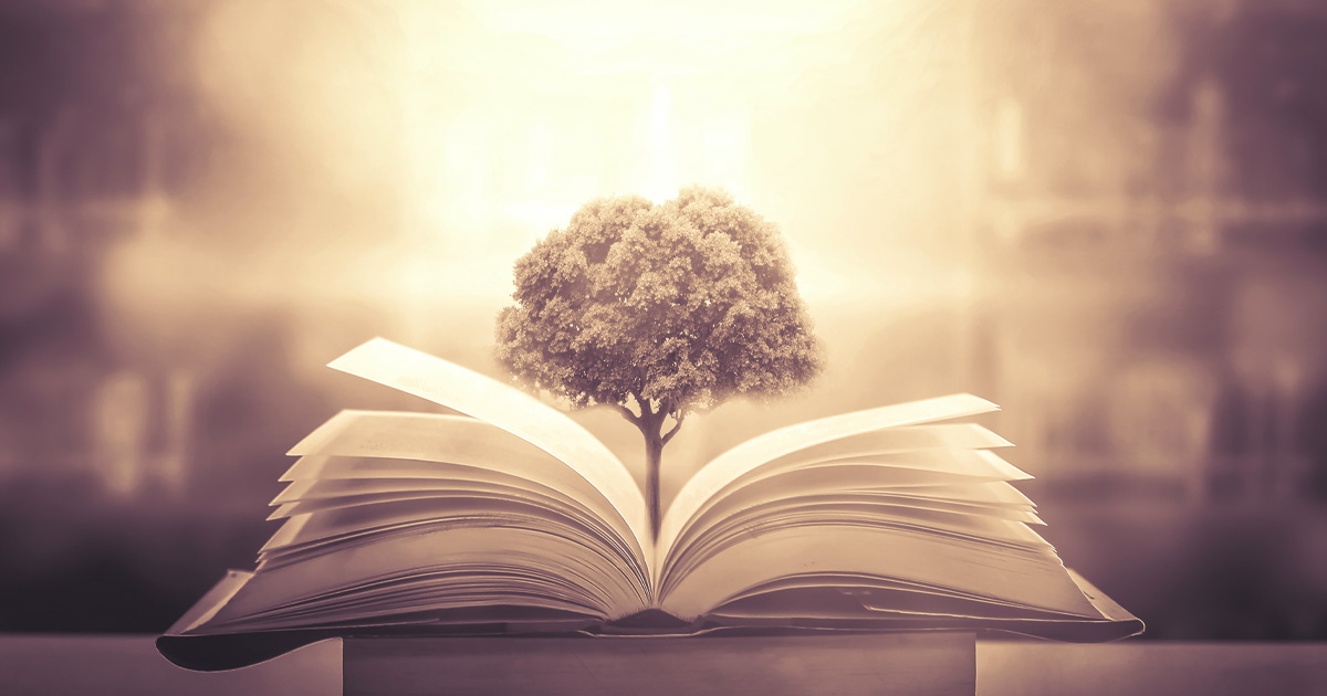 Firearms Terms for the Beginner - USA Carry